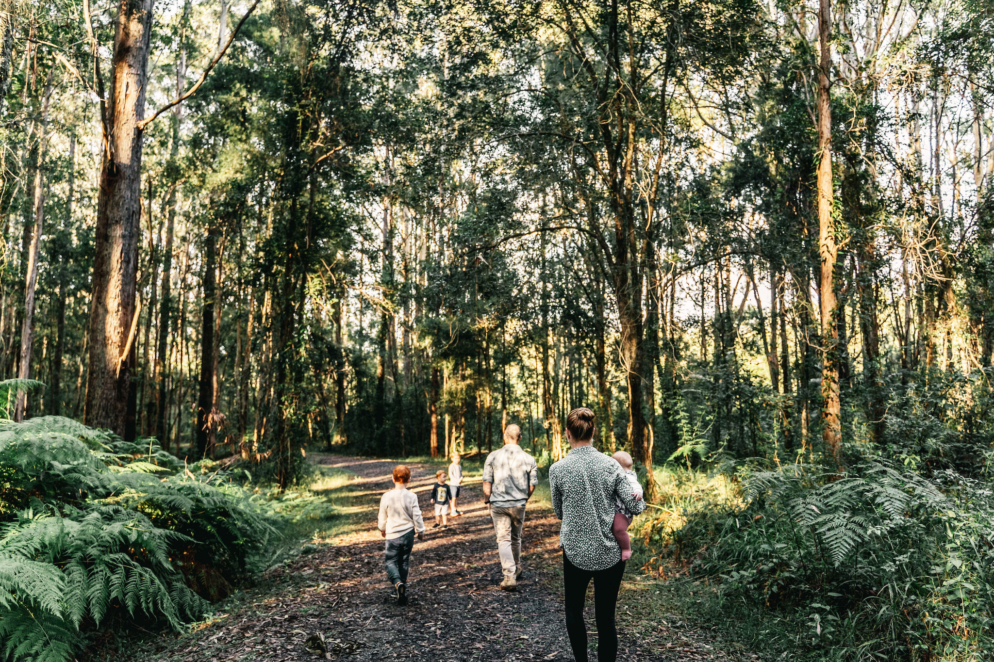 Why Sustainable Logging Sustainable Forest Management
