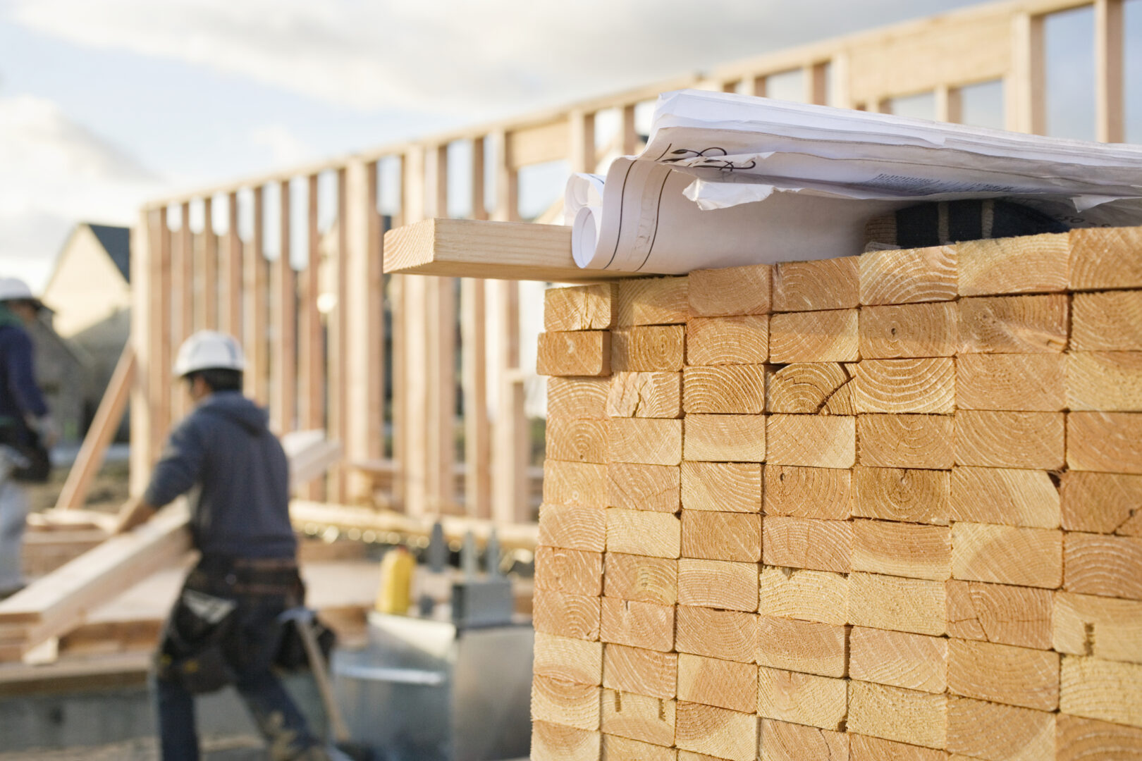 The Great Australian Timber Shortage
