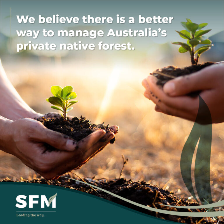 Top 5 Sustainable Timber Projects We Love