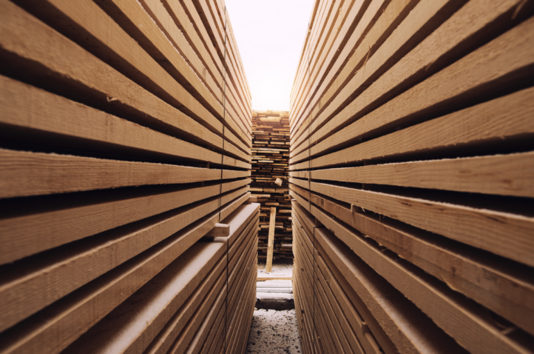 Our 2024 Guide to Australian Timber Values by Species