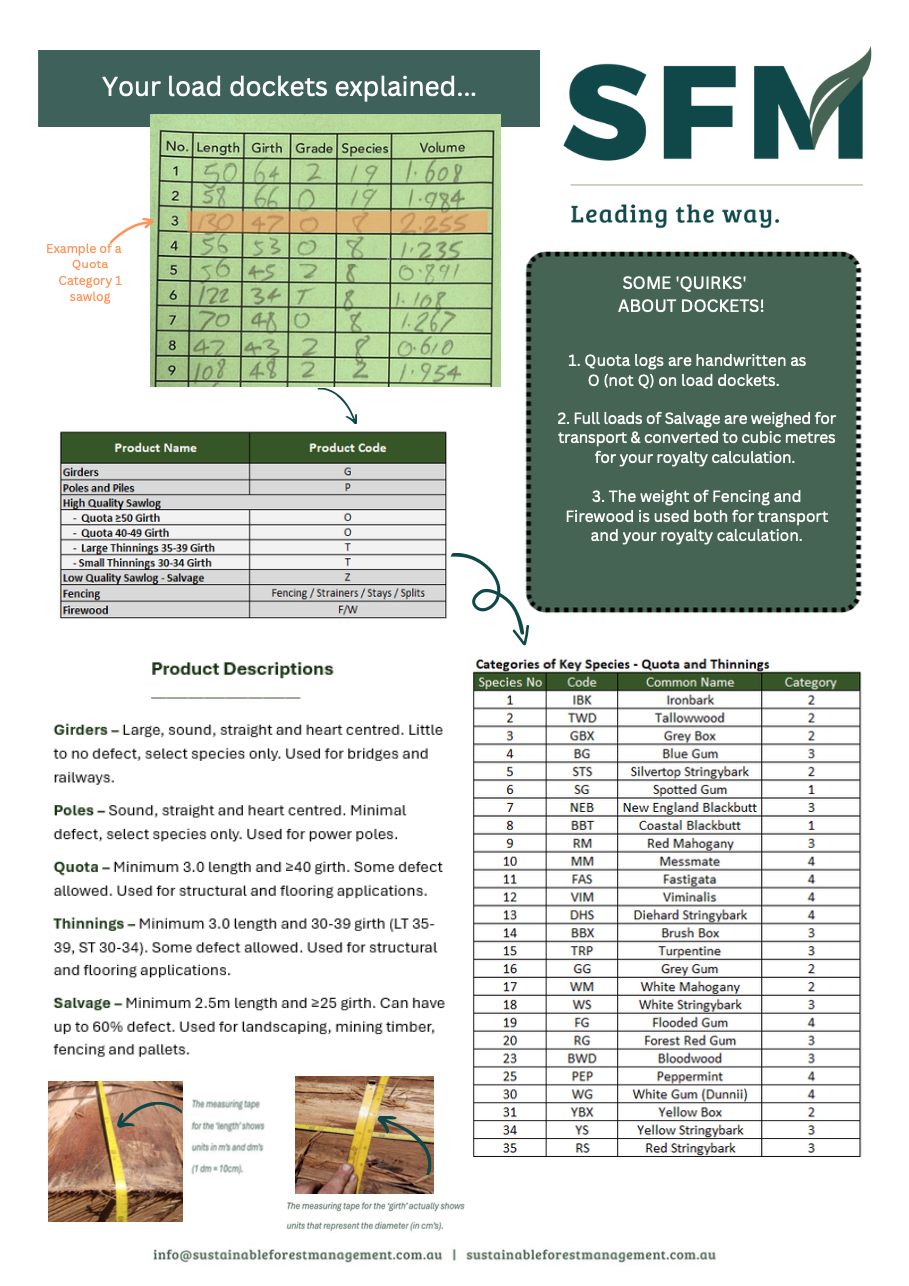How are Hardwood Logs Graded in Australia? - Sustainable Forest Management